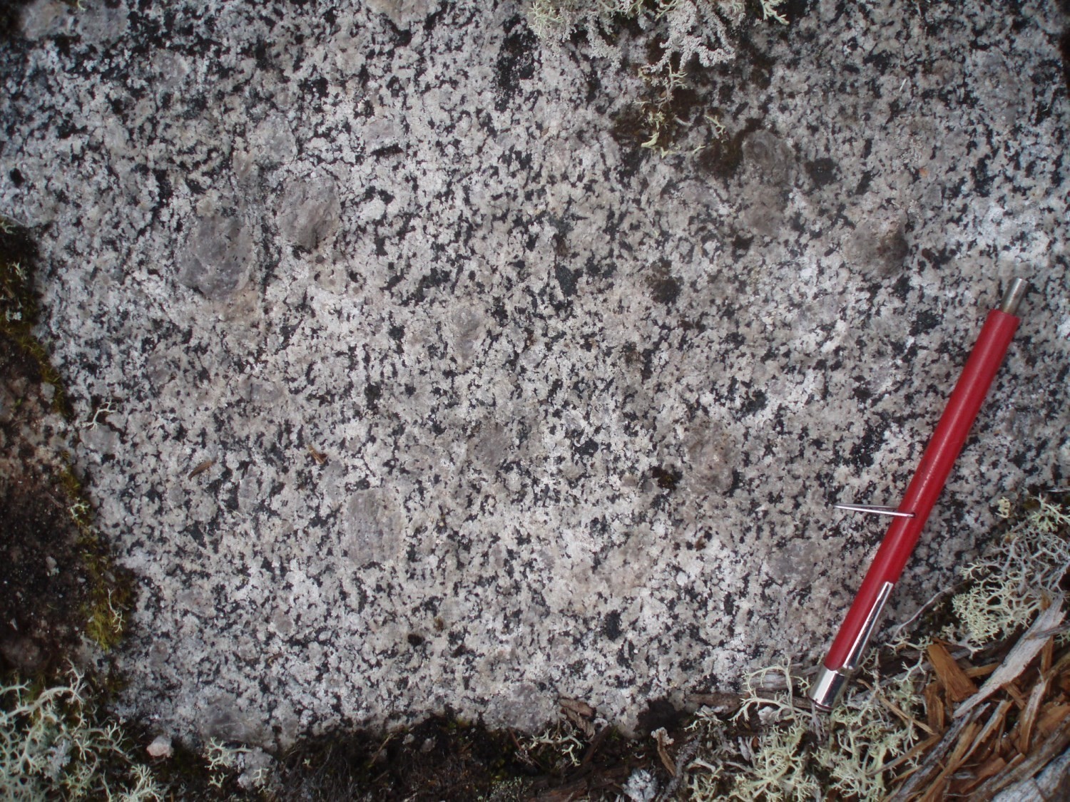 Batholite de Polaris