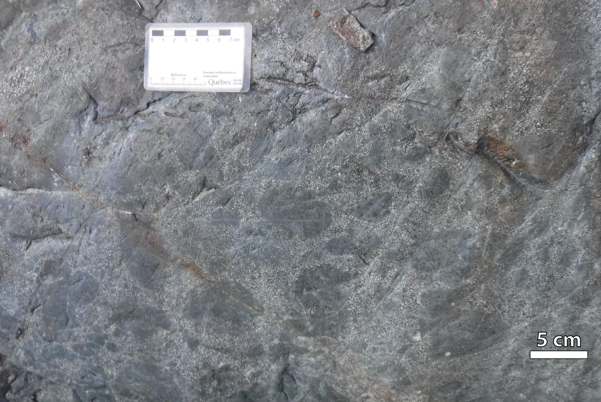 Batholite de Pascalis-Tiblemont – Géologie Québec