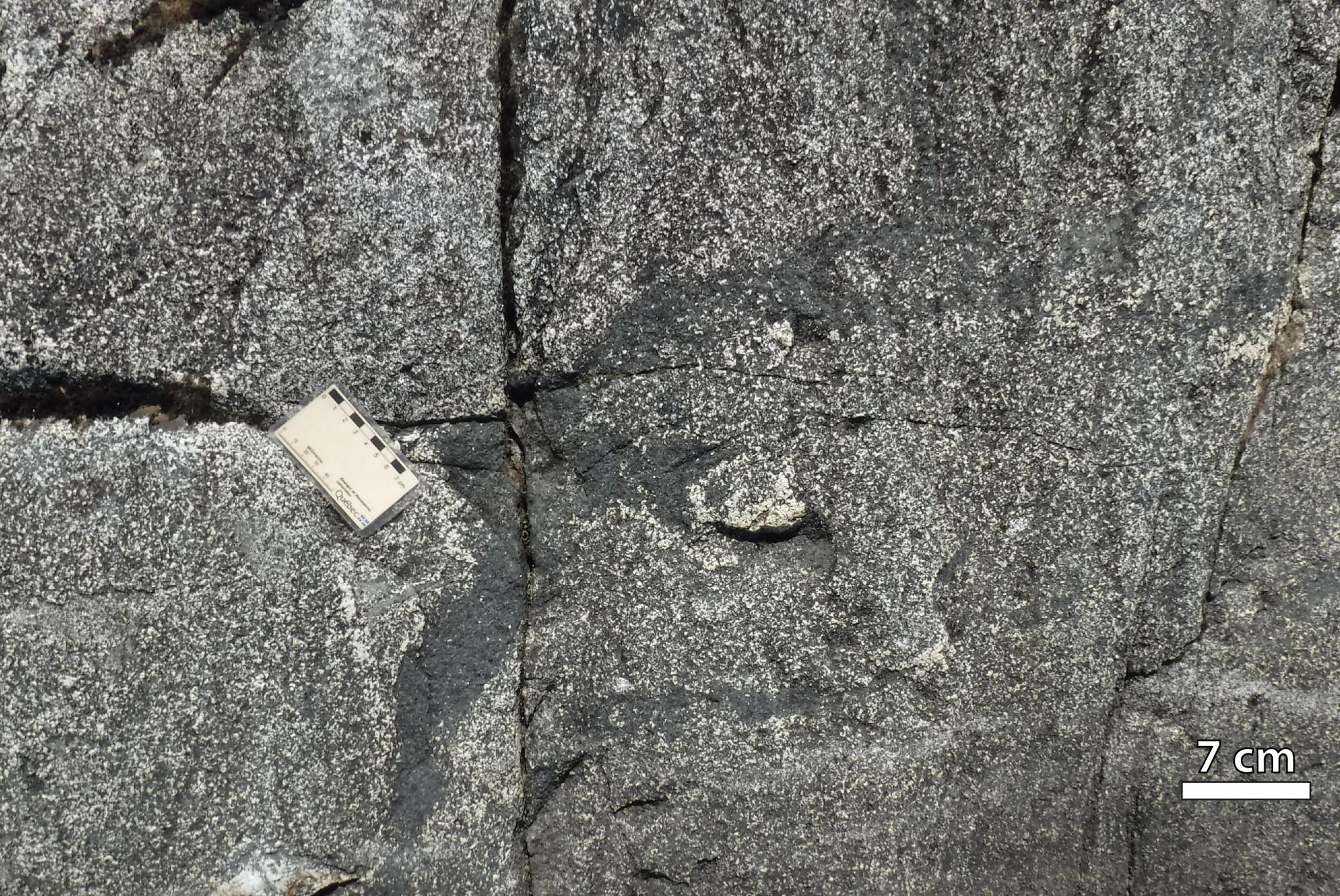 Batholite de Pascalis-Tiblemont – Géologie Québec