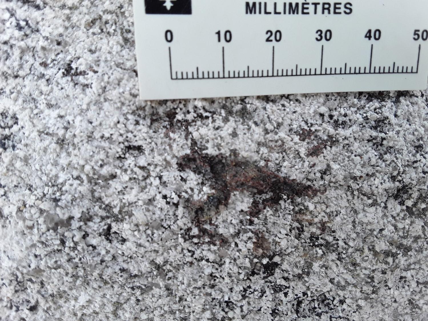 Intrusions de Windigo - Géologie Québec