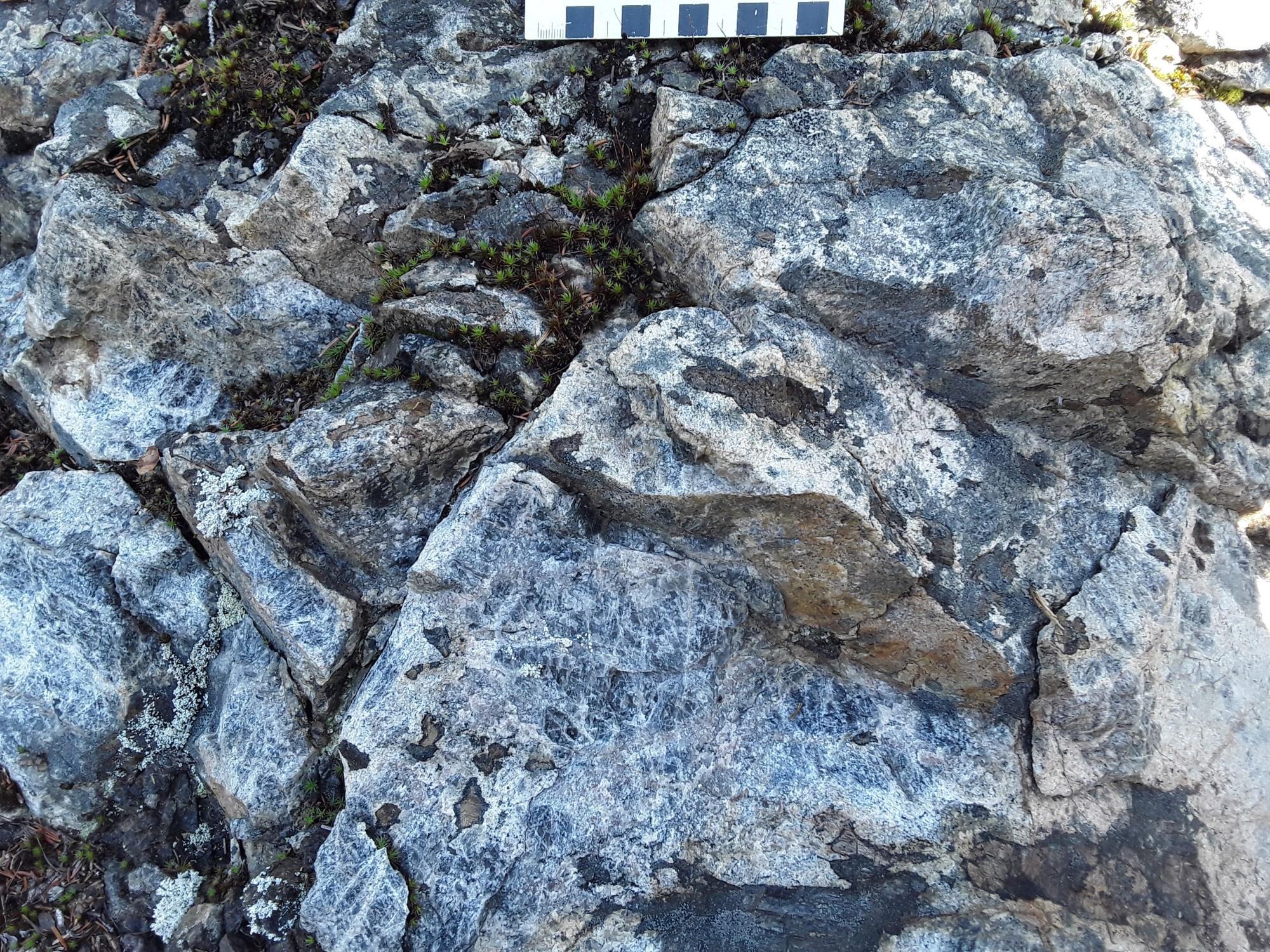 Anorthosite de Vanel